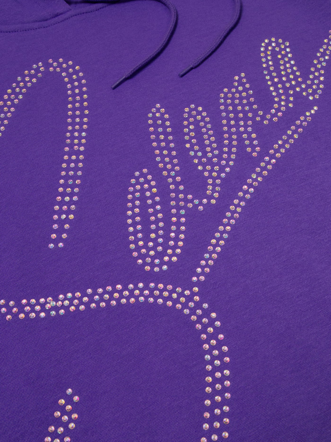 Selena AB Rhinestone Hoodie